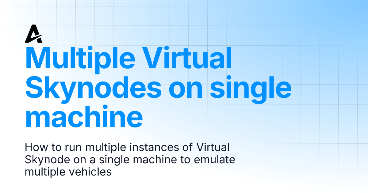 Multiple Virtual Skynodes on single machine | Auterion Documentation