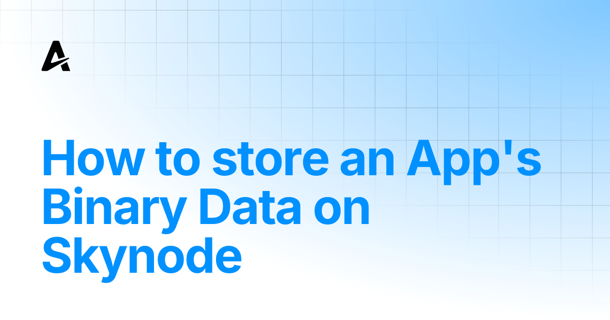 How to store an App's Binary Data on Skynode | Auterion Documentation